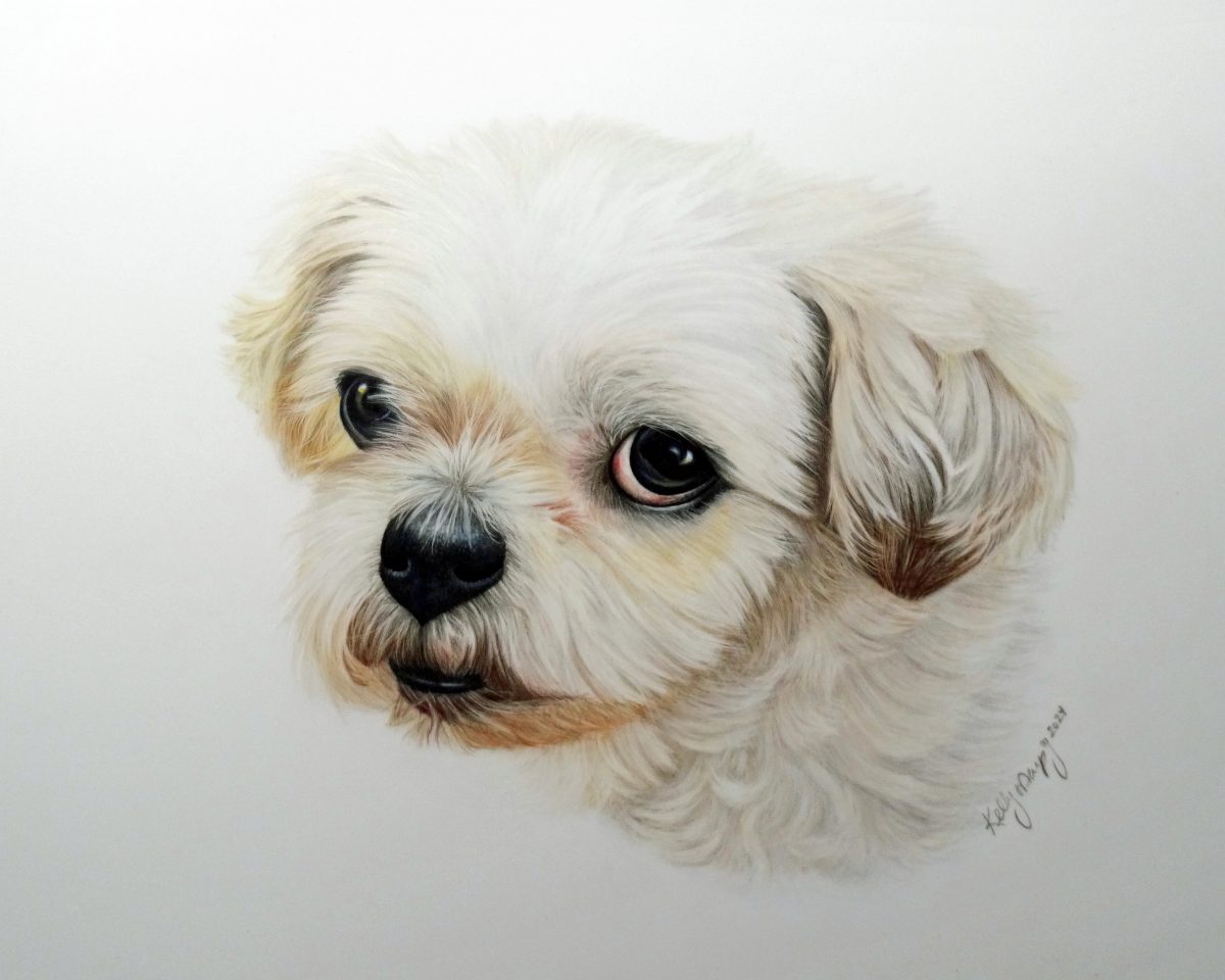 Vivo – In Memoriam – Kelly Murphy, Fine Art