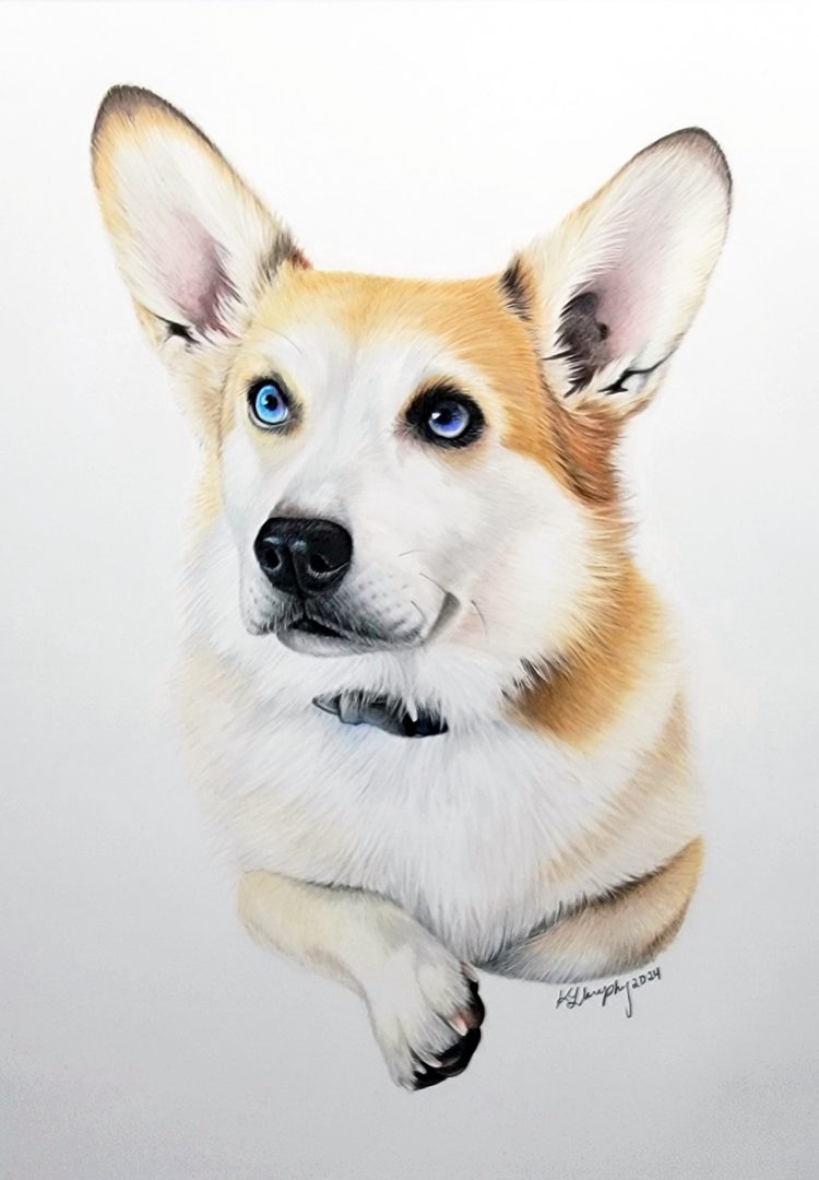 Corgi (commission) – Kelly Murphy, Fine Art