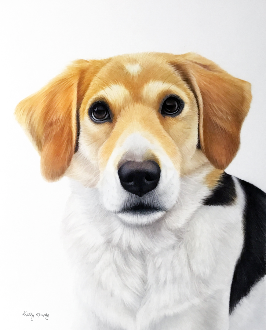 Molly (commission) – Kelly Murphy, Fine Art