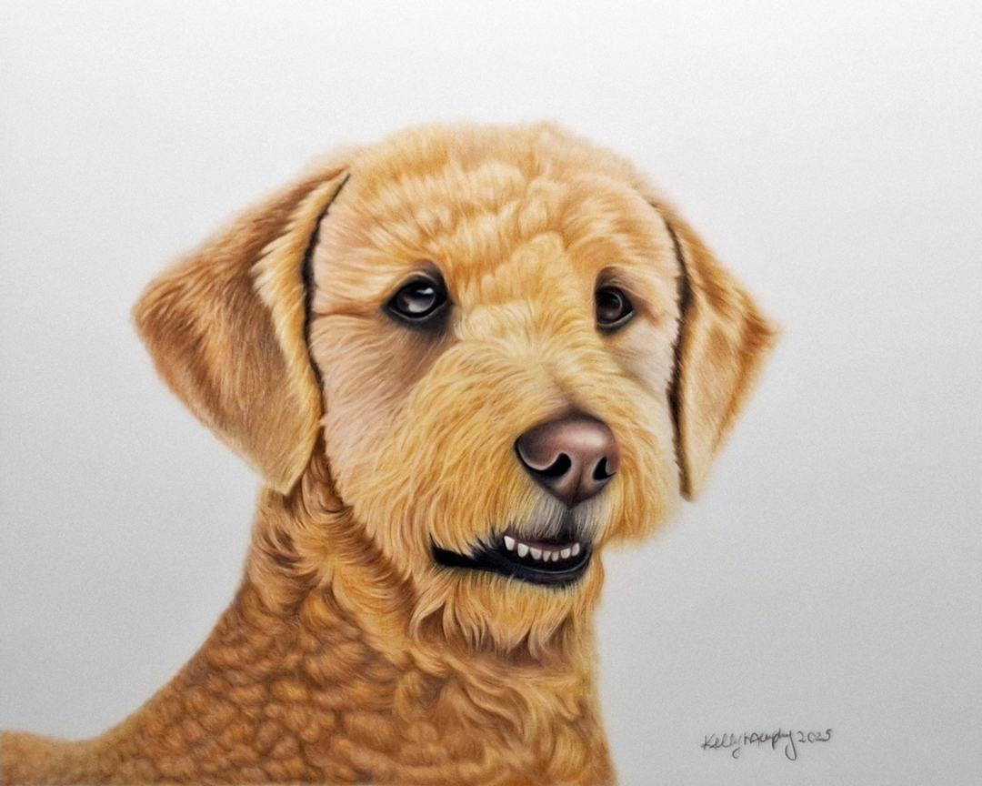 Joey (commission) – Kelly Murphy, Fine Art