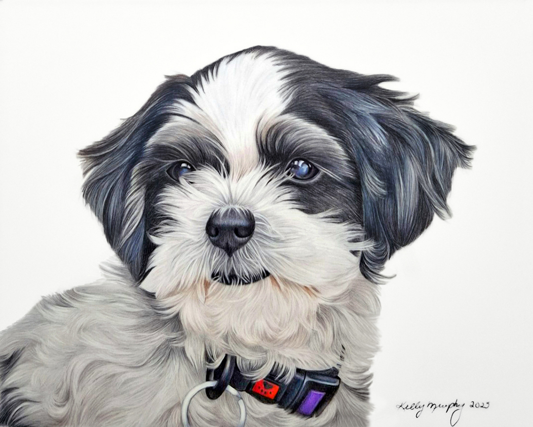 Lacey (commission) – Kelly Murphy, Fine Art